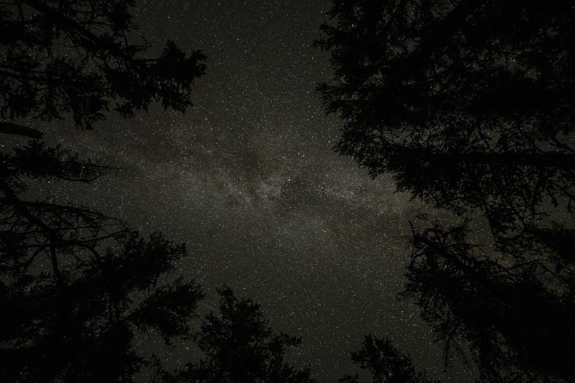 A Wiindigoo Story With a Meaningful Lesson - Pimachiowin Aki