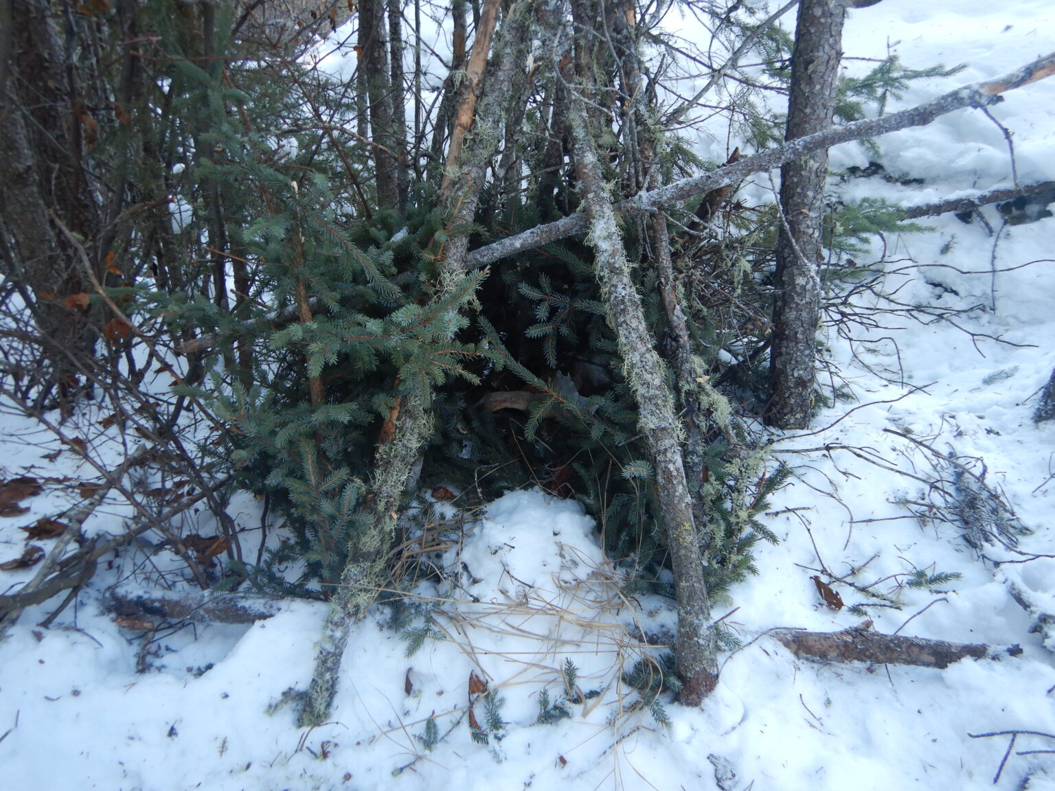 Bloodvein River First Nation Archives - Pimachiowin Aki