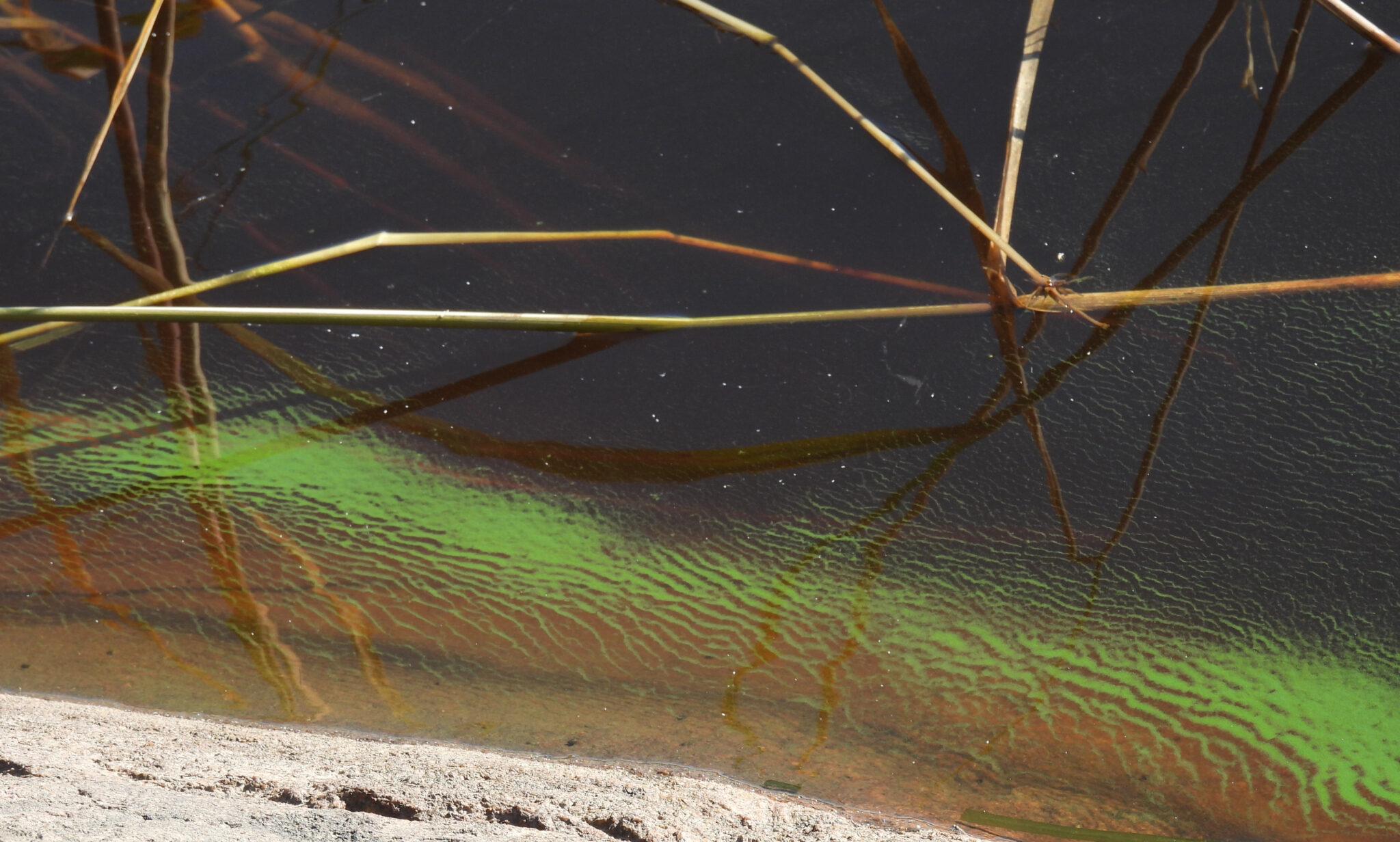 Bloodvein River First Nation Archives - Pimachiowin Aki