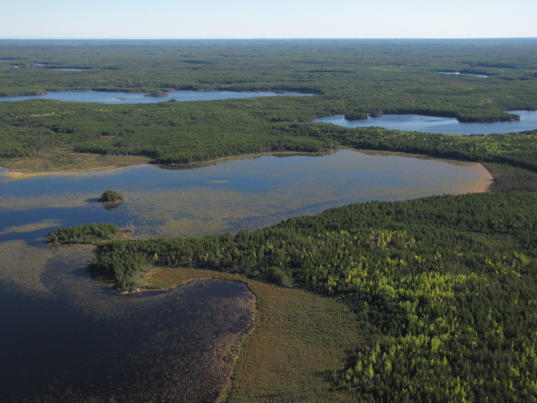 How to Harvest Manoomin (Wild Rice) - Pimachiowin Aki